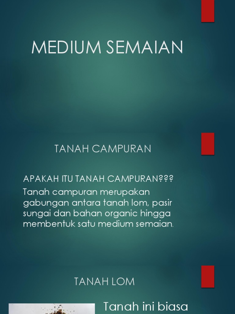 Medium Semaian | PDF