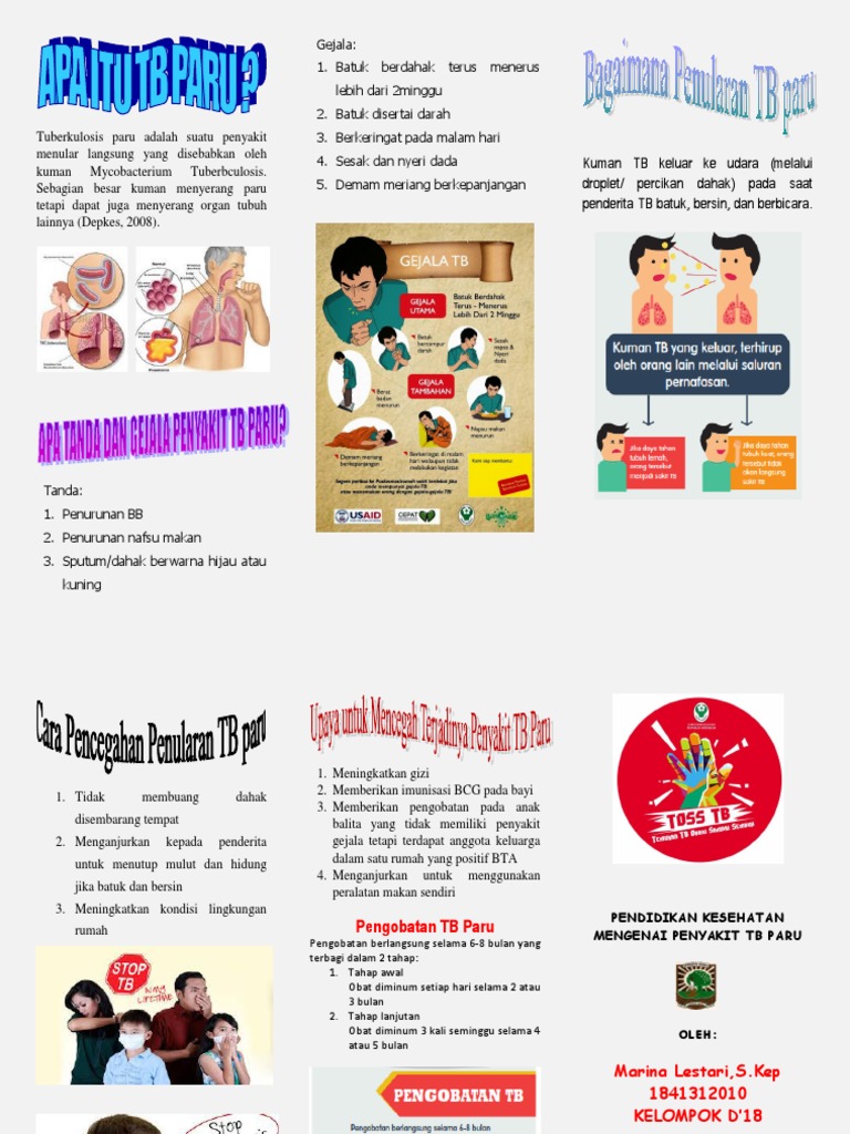 Leaflet TB Paru | PDF