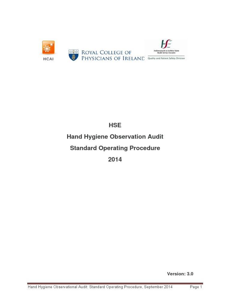 Hand Hygiene Observation Audit.pdf | Margin Of Error | Hand Washing