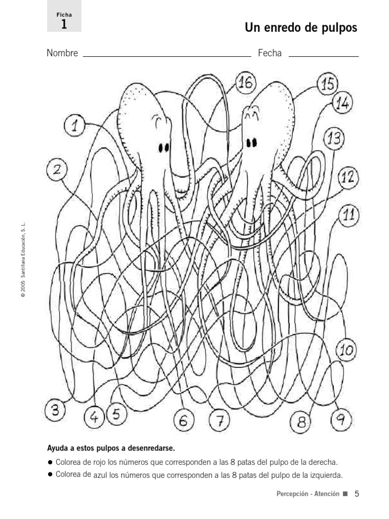 4-Actividades para Empezar Bien El Dia | PDF | Naturaleza