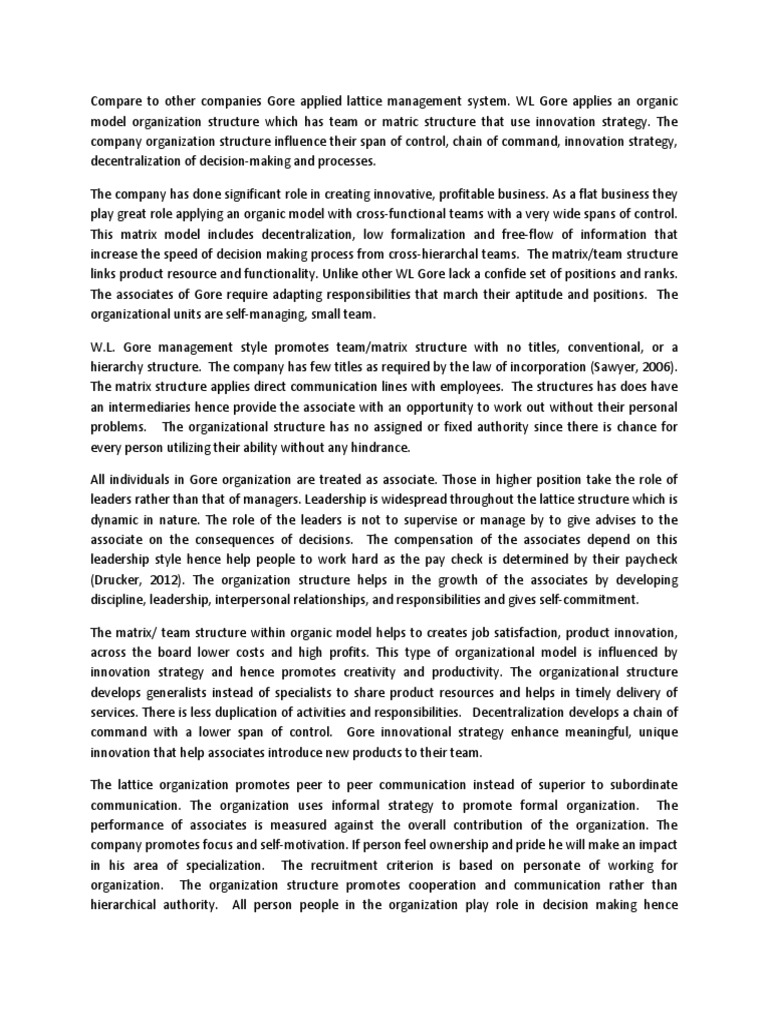 WL Gore Case Study | Download Free PDF | Organizational Structure ...