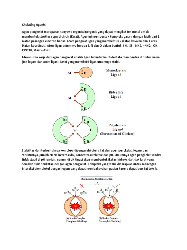 Chelating Agents Dan Penetration Enhancer | PDF