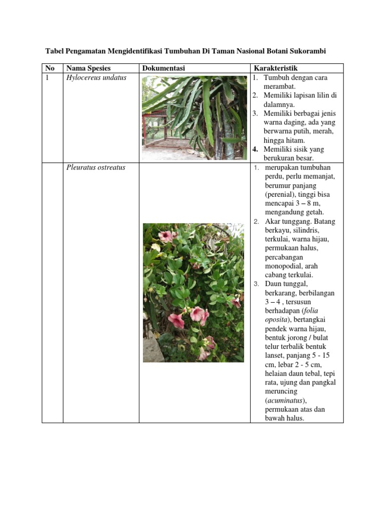 Tabel Pengamatan Mengidentifikasi Tumbuhan Di Taman Nasional Botani ...