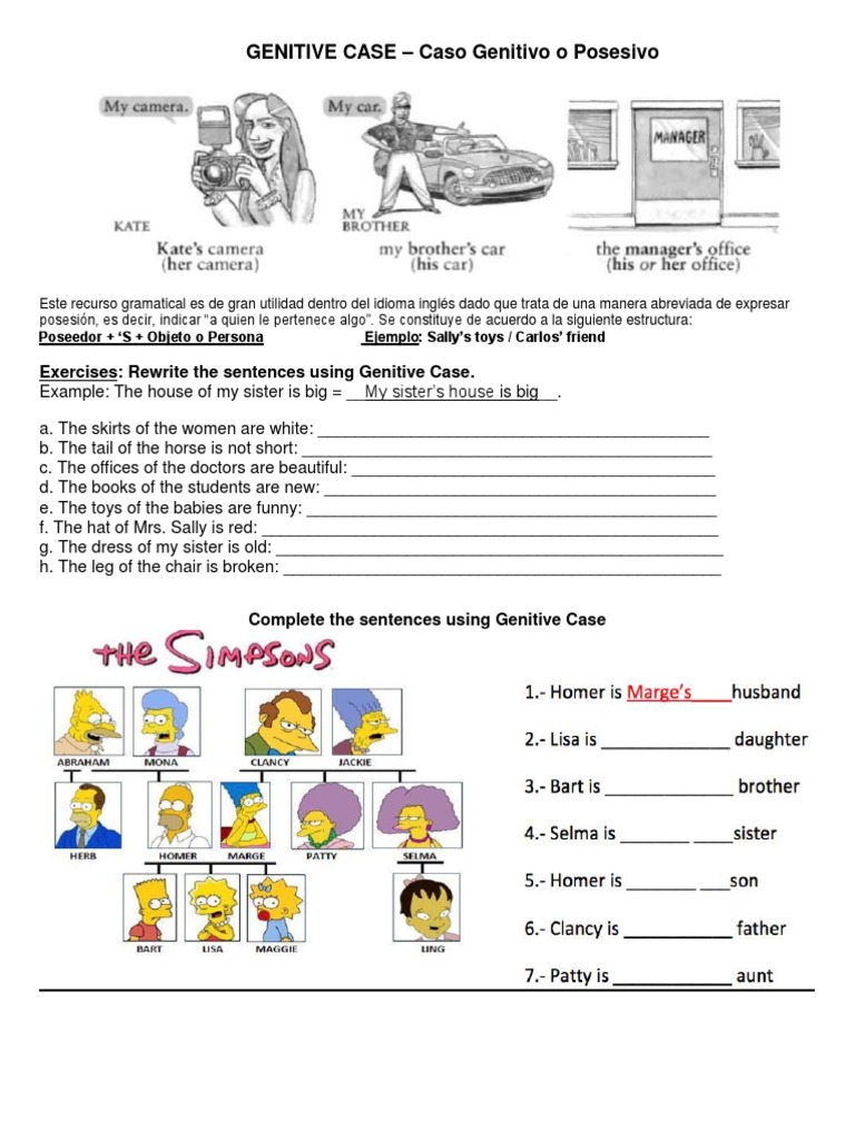 The Genitive Case: Expressing Possession in English Through the ...