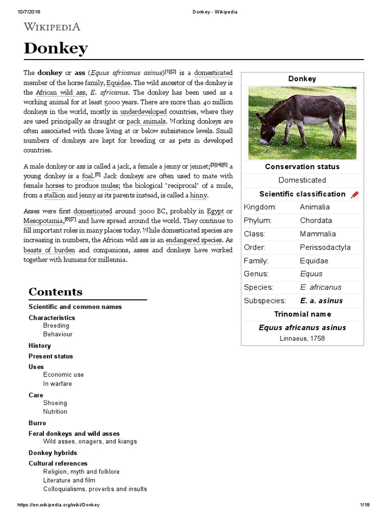 Donkey - Wikipedia | PDF | Donkey | Equus (Genus)