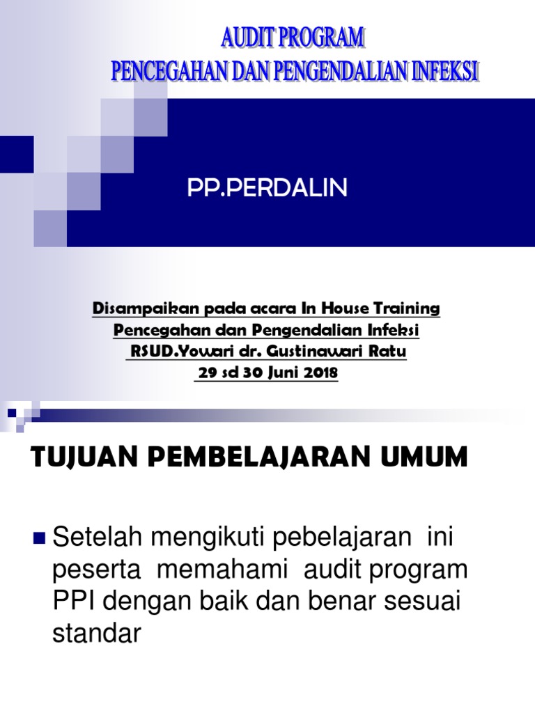 Audit Program Ppi | PDF