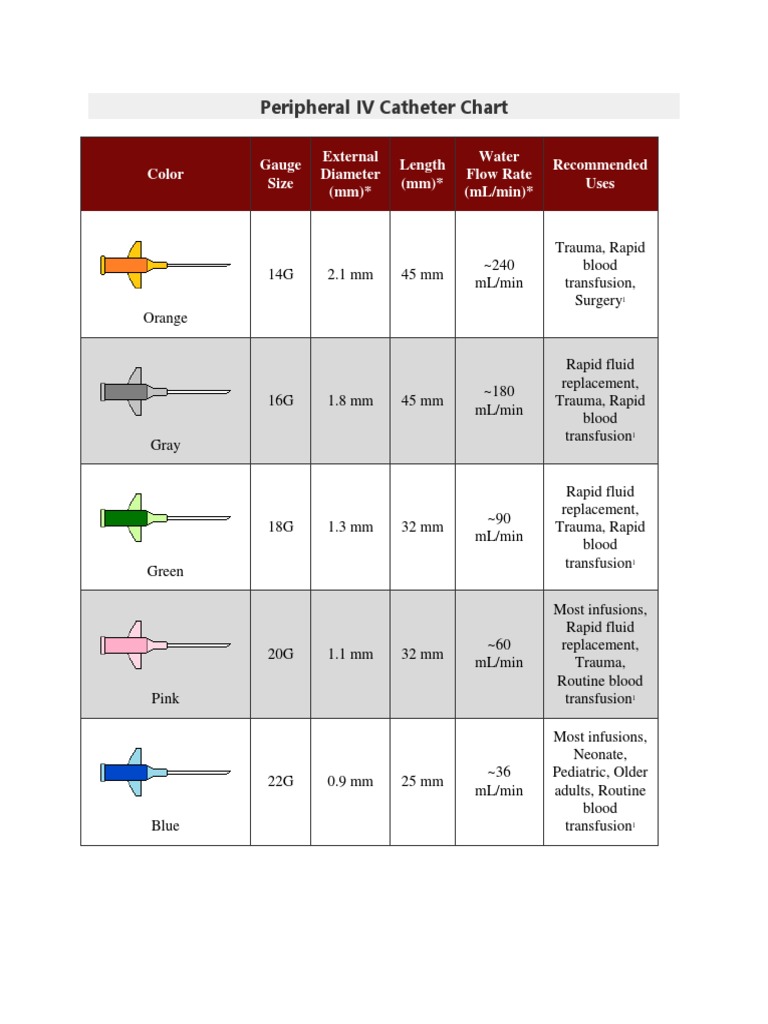 Peripheral IV Catheter Chart | Download Free PDF | Intravenous Therapy ...