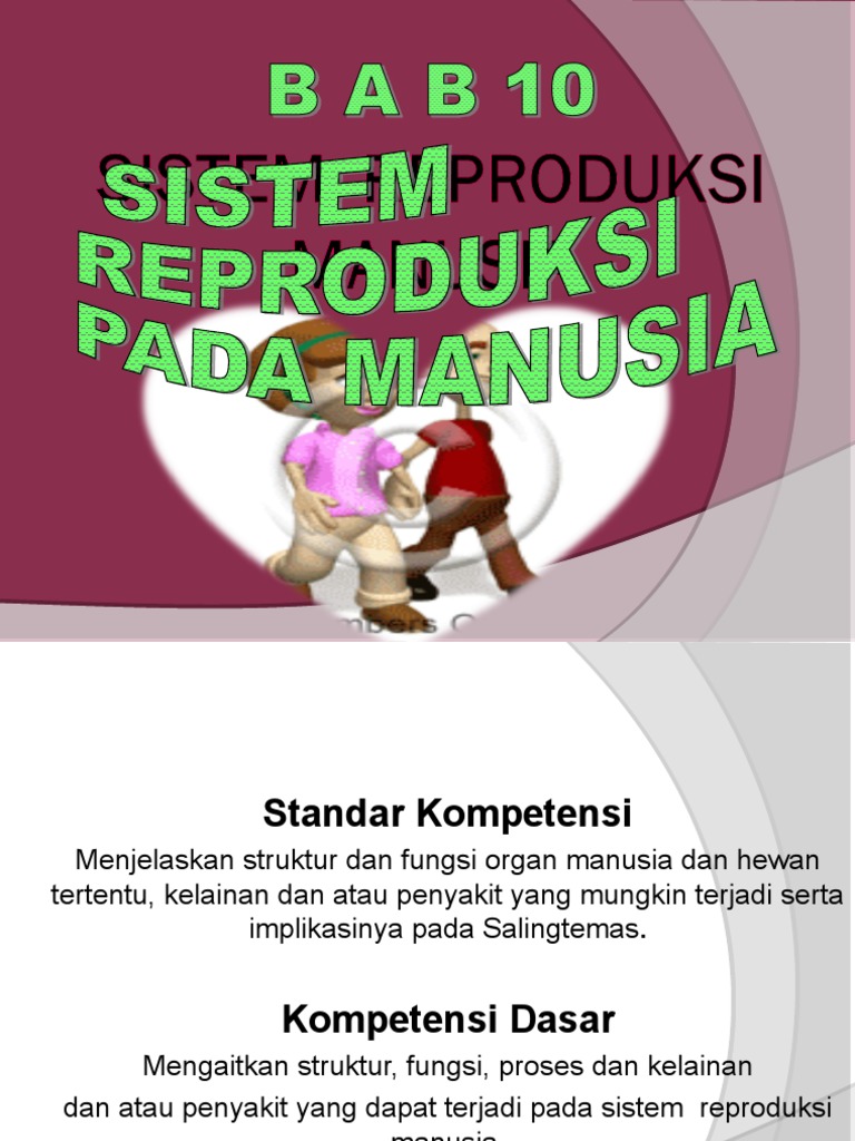 Struktur dan Fungsi Liang Folikel | PDF