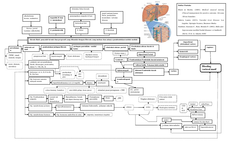 Patofisiologi Sirosis Hati-Esophageal Varises-Perdarahan Masif | PDF