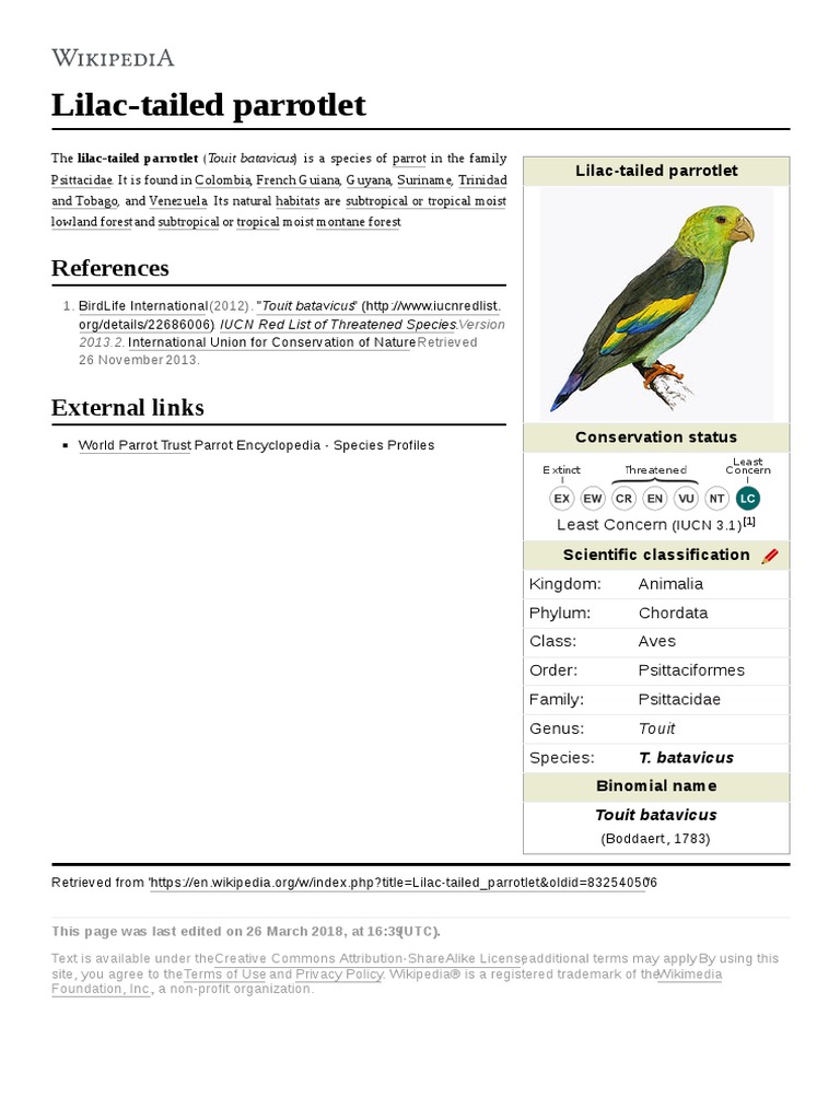 Lilac Tailed Parrotlet | PDF | Parrot | Nature