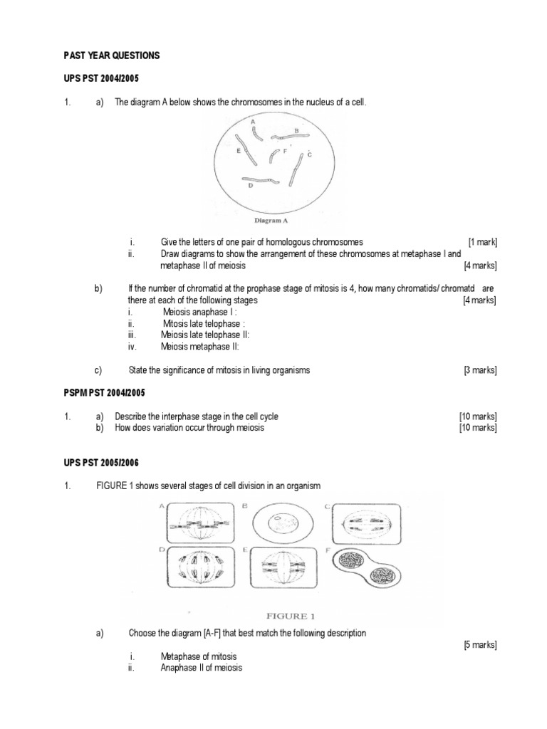 Topik 3 Cell Division PAST YEAR QUESTIONS | PDF | Mitosis | Meiosis