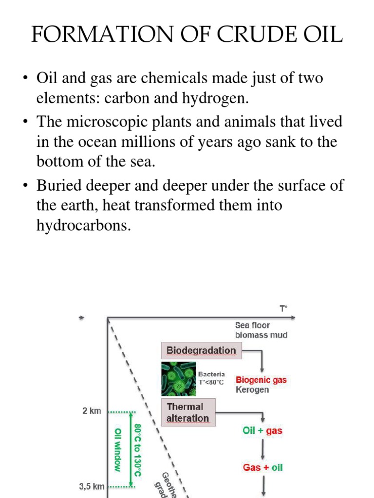 Formation of Crude Oil | PDF | Oil Sands | Oil Shale