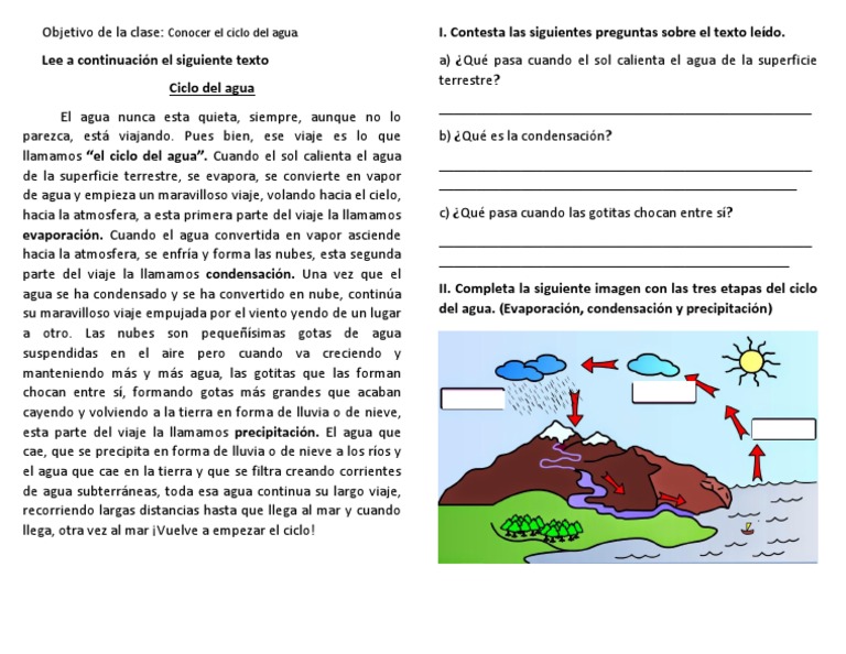 El ciclo del agua: texto y actividades | PDF