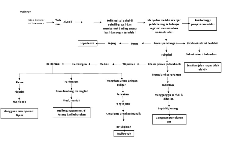 Pathway Meningitis TB | PDF
