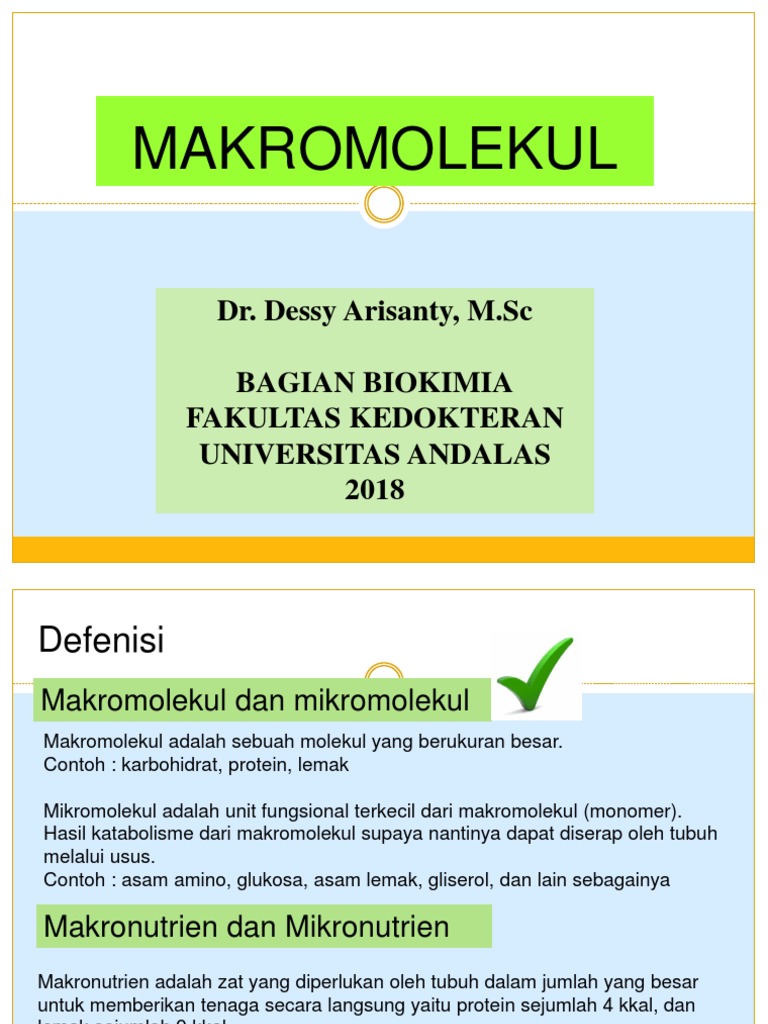 Makromolekul: Karbohidrat & Protein | PDF