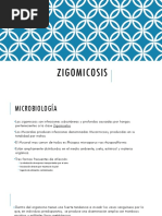 Zigomicosis Mucormicosis | PDF | Epidemiología | Rtt