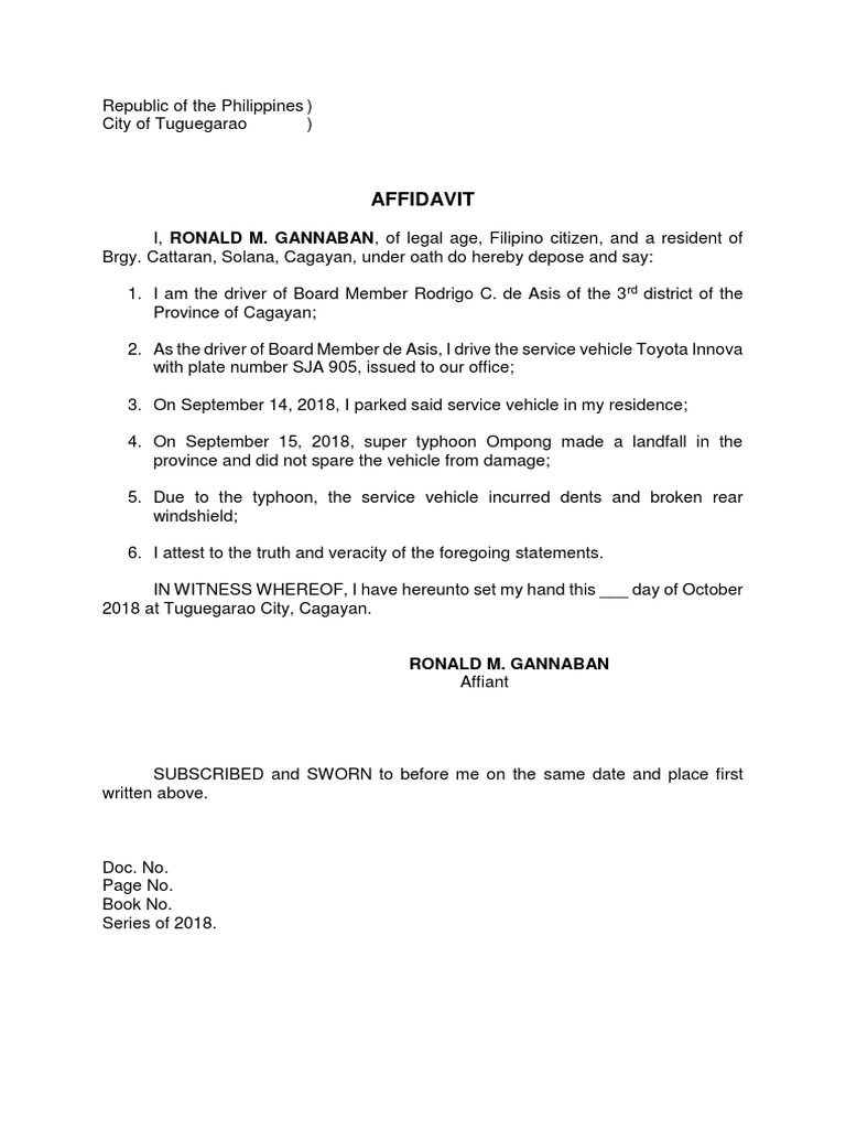 Affidavit Driver | PDF