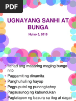 Sanhi at Bunga Worksheet | PDF