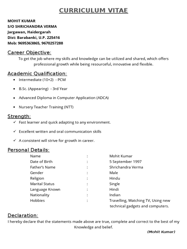 Mohit Kumar - CV - File | PDF