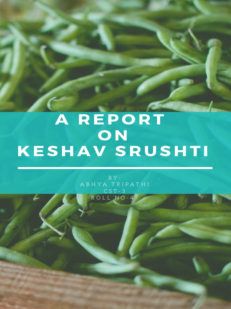 Keshav Srushti Overview | PDF