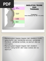 Anatomi Dan Fisiologi Vertebrae Cervical | PDF
