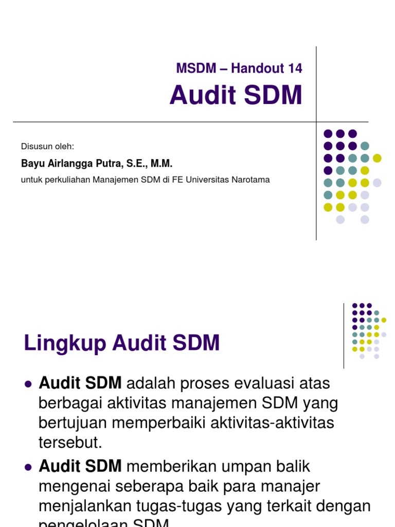 Handout 14 Audit SDM | PDF