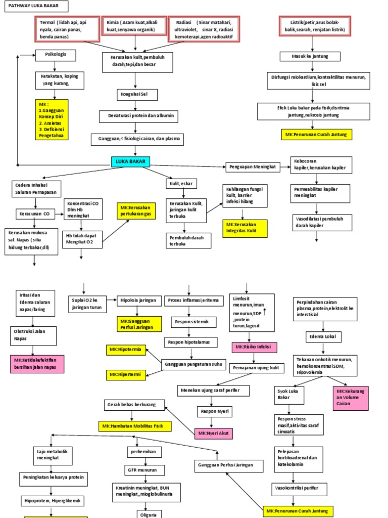 Pathway Luka Bakar | PDF