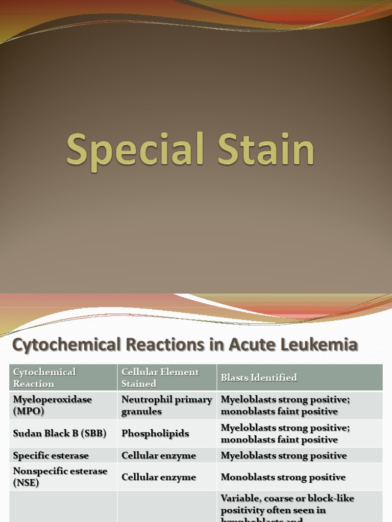 Hematology Special Stain | PDF | White Blood Cell | Leukemia