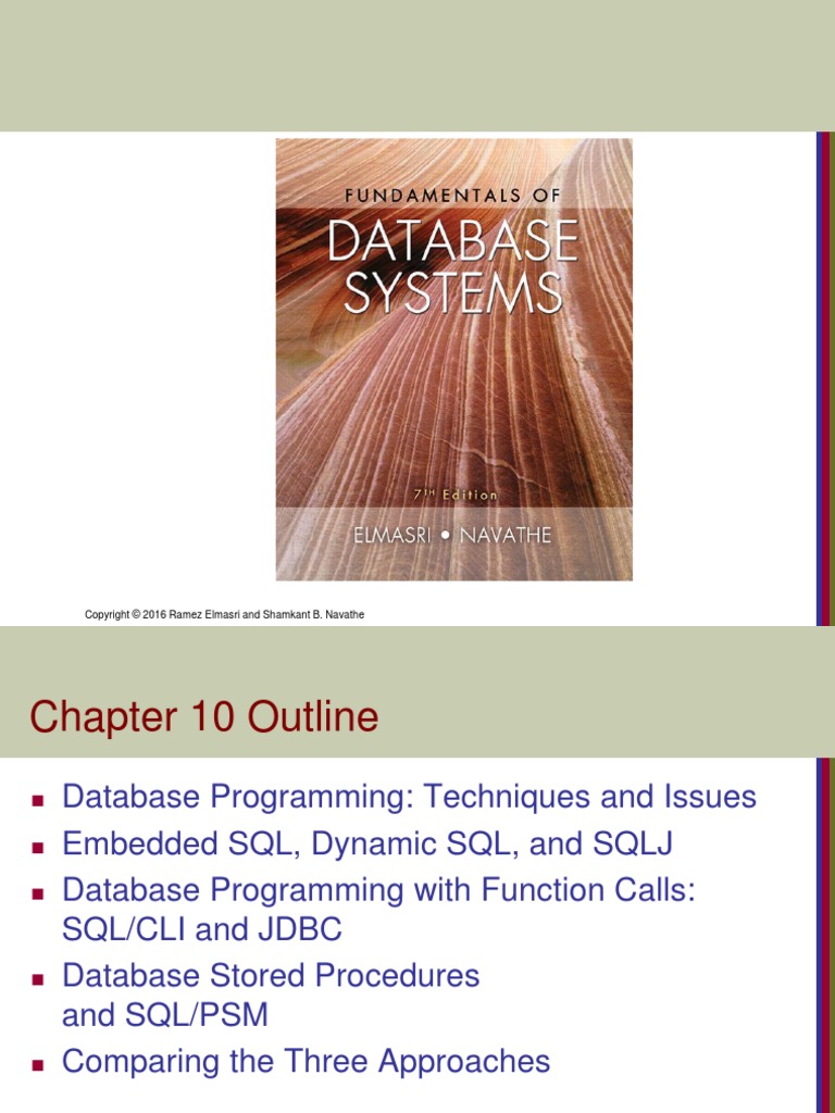 Chapter 10 | PDF | Sql | Application Programming Interface