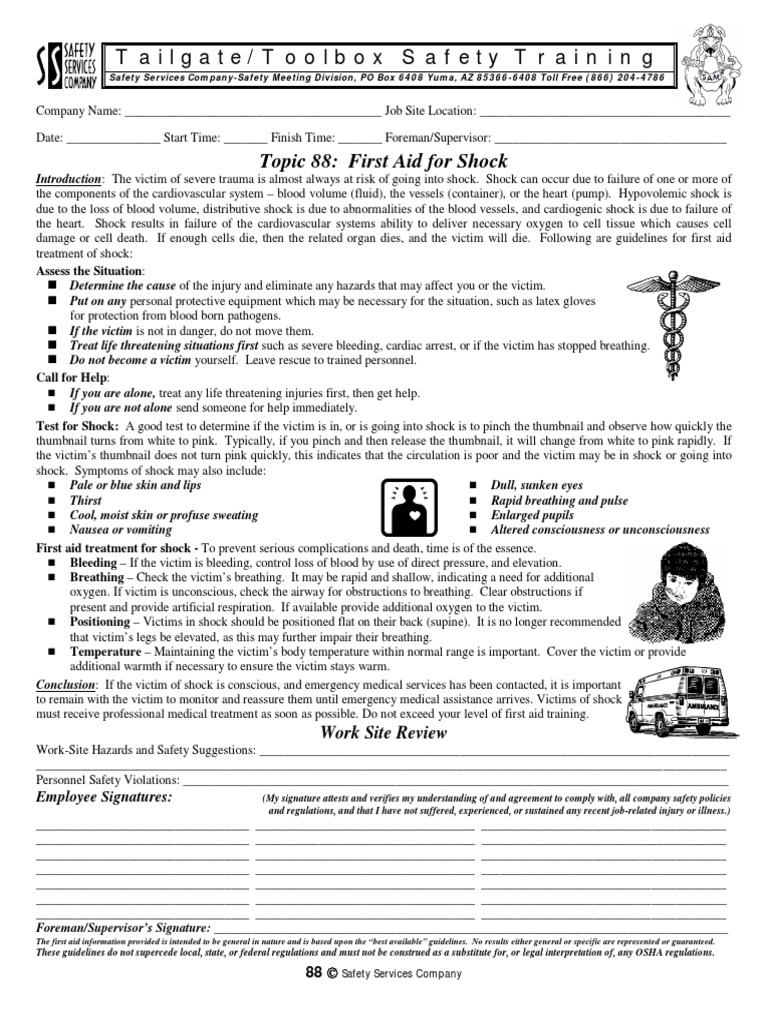 088 - First Aid For Shock PDF | PDF | Shock (Circulatory) | Breathing