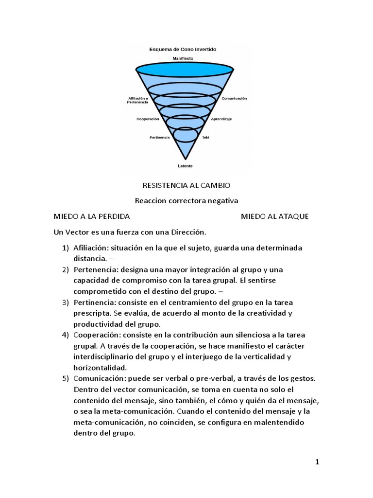 Esquema DeL Cono Invertido | PDF