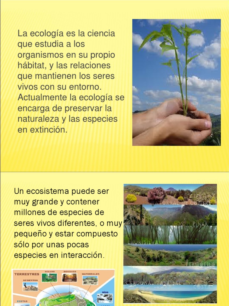 Interacciones Y Ecosistemas
