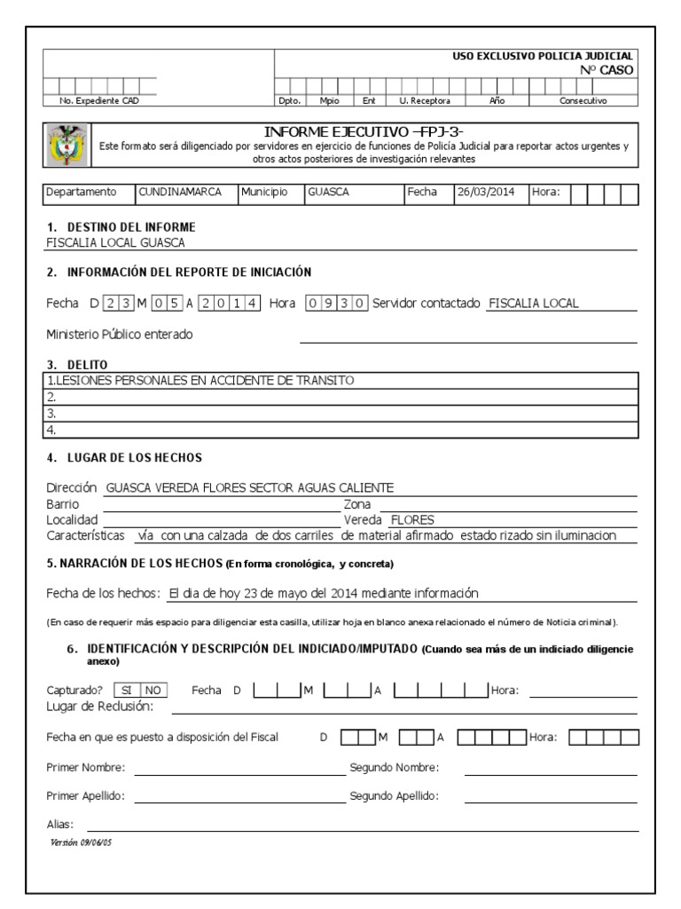 Formato FPJ para Informe Policial | PDF | Policía | Violencia