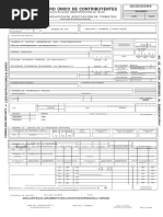 Instructivo Formulario 351 para Entidades | PDF | Finanzas y dinero