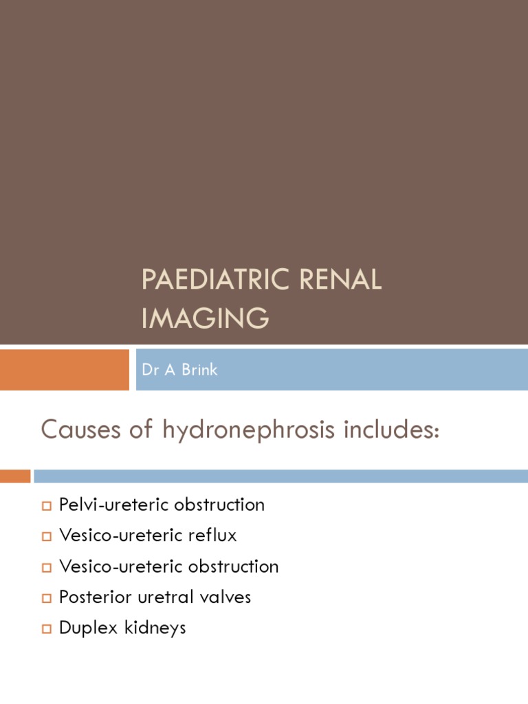 Paediatric Renal Imaging: DR A Brink | PDF | Renal Function | Kidney