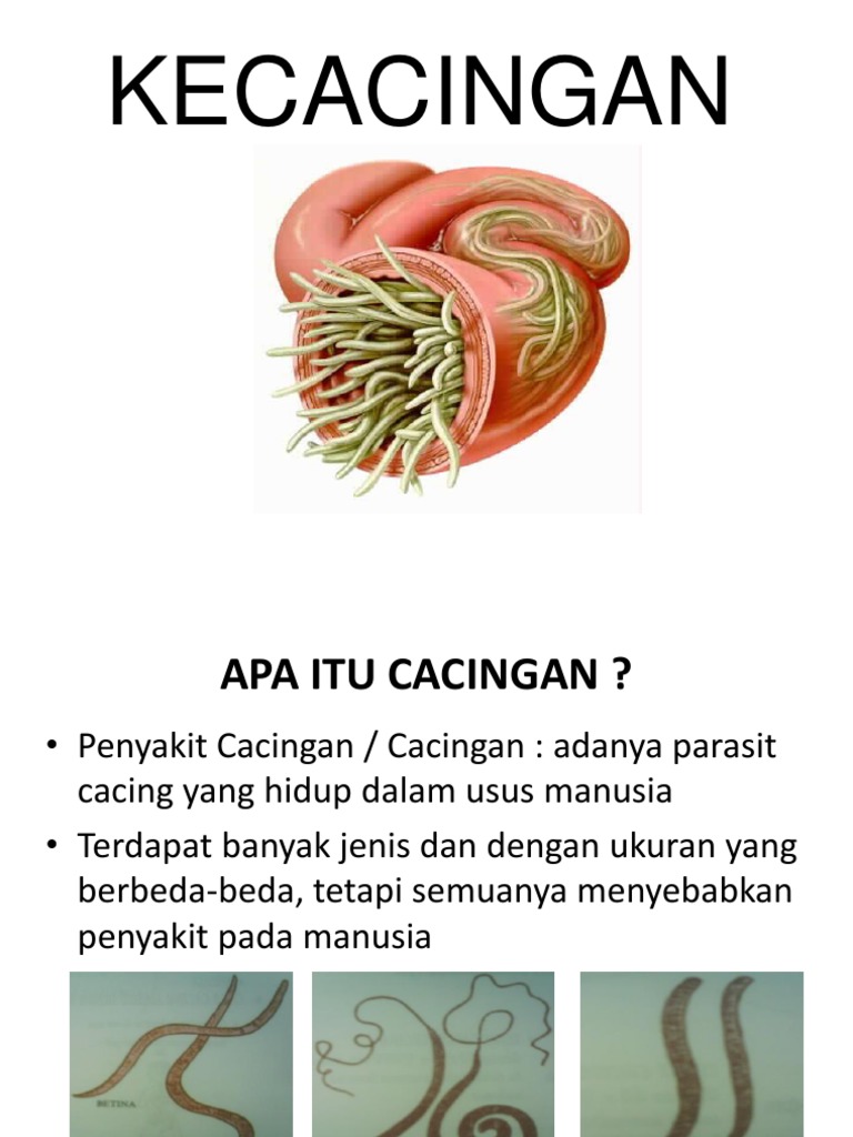 Materi Kecacingan | PDF | Teknologi & Rekayasa