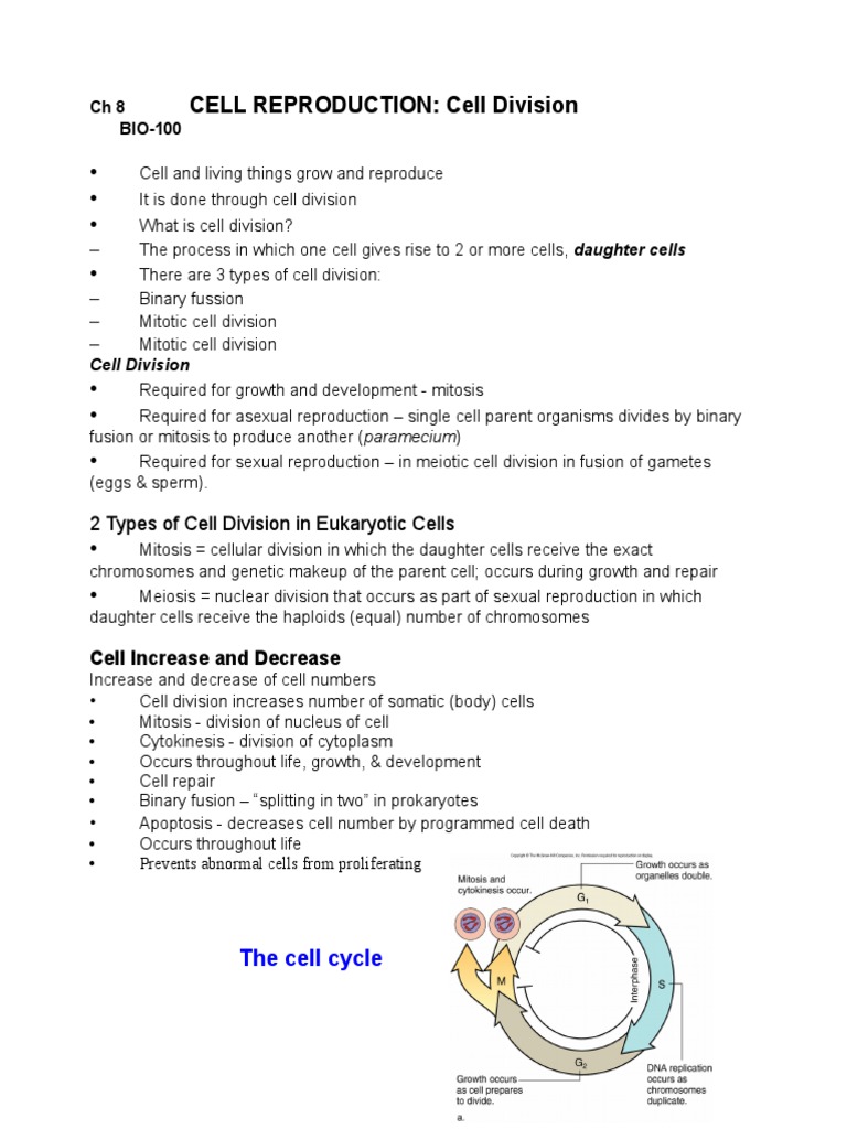 CH 10 - Cell Division | PDF | Meiosis | Mitosis