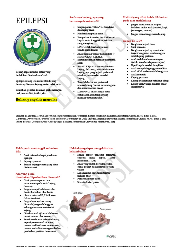 Leaflet Epilepsi | PDF