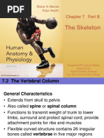 Astri - Neck Cailliet Exercise | PDF | Vertebral Column | Vertebra