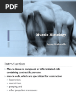 GMetrix Admin Guide | PDF | Test (Assessment) | Password