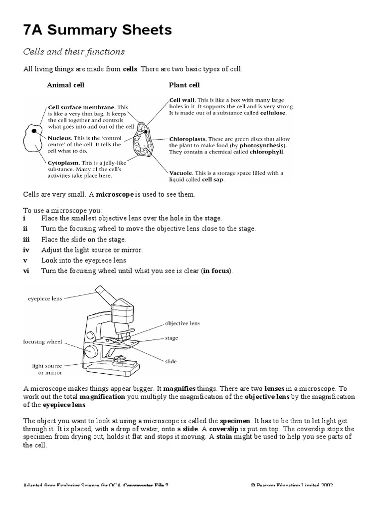 Science Revision Yr7 PDF | PDF | Solution | Planets