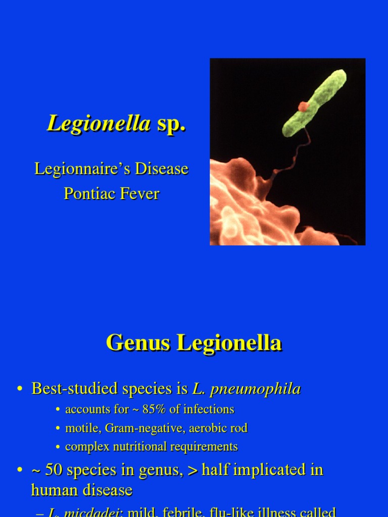 Understanding Legionella and Disease Risks | PDF | Pneumonia | Macrophage