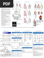 ASE Guidelines for Chamber Quantification | PDF | Ventricle (Heart ...