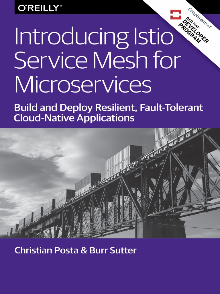 Istio Mesh For Microservices r1 | PDF | Software Framework | Library ...