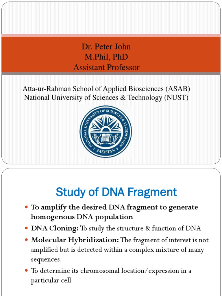 Cell Based DNA Cloning | PDF | Molecular Cloning | Plasmid