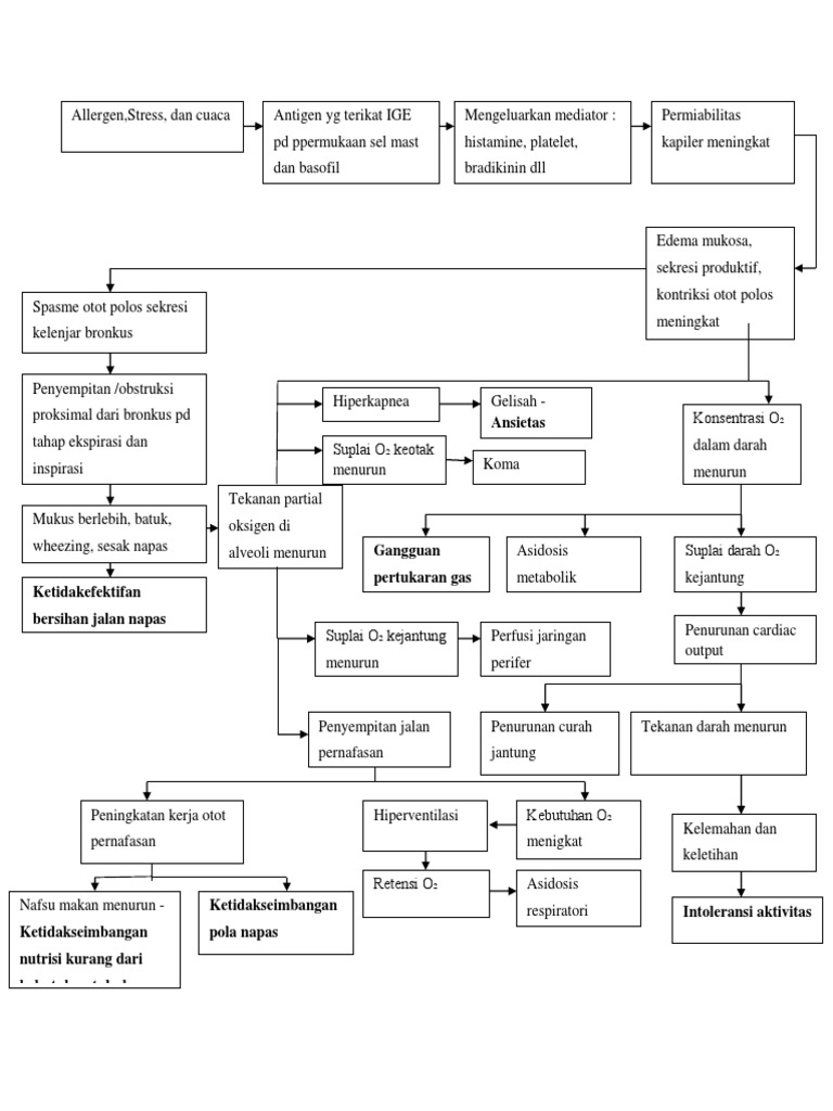 Pathway Asma Akut | PDF