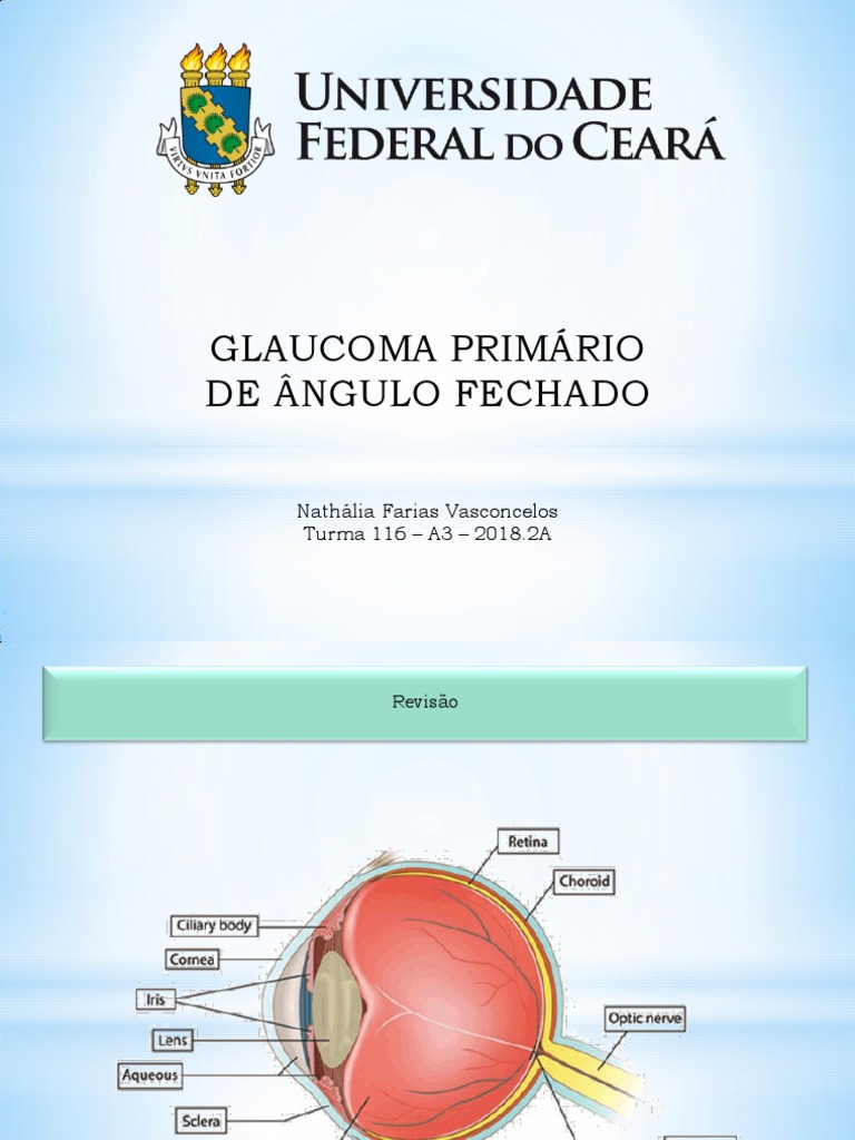 Glaucoma Primário de Ângulo Fechado | PDF | Glaucoma | Sentidos