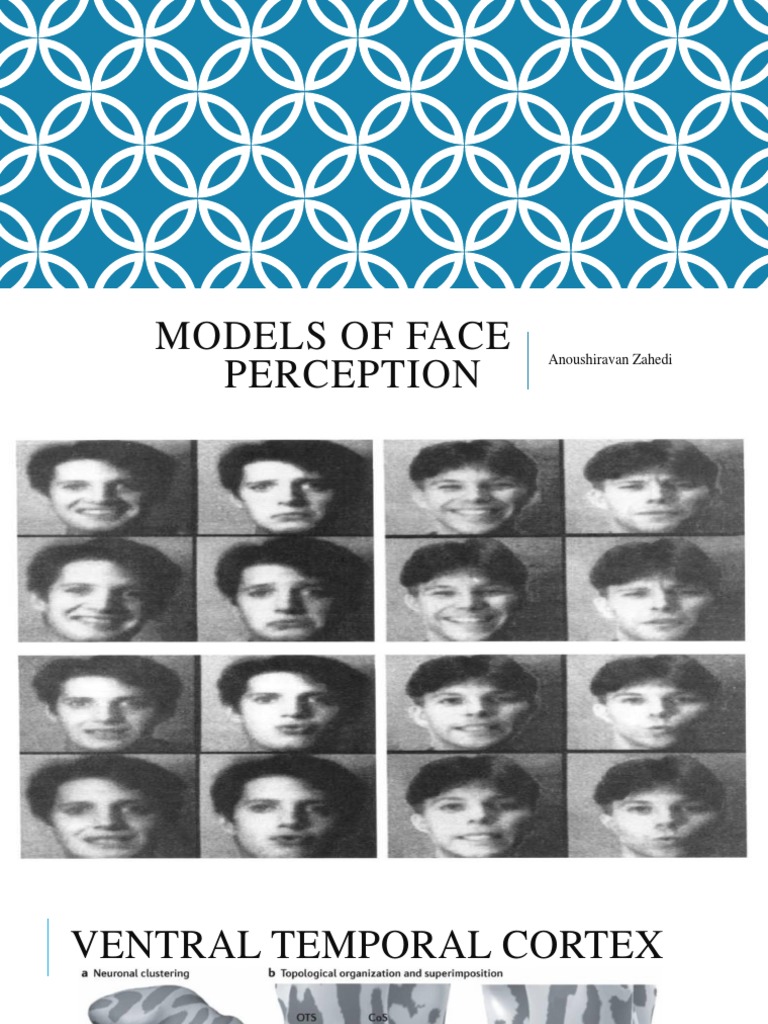 Models of Face Perception | PDF | Temporal Lobe | Parietal Lobe