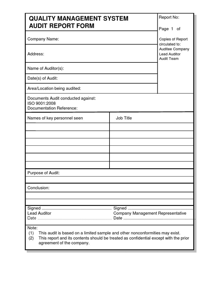 Audit Report - Blank | PDF | Auditor's Report | Audit