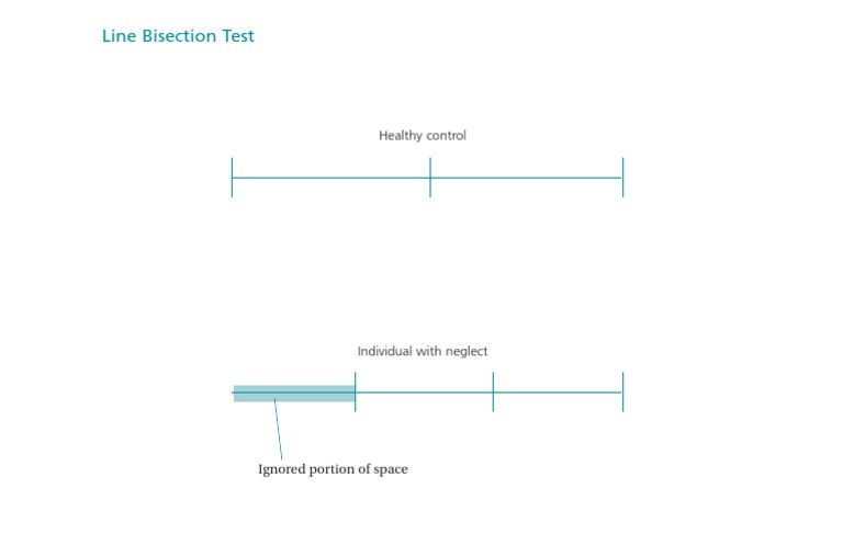 Test Biseccion de Linea | PDF | Self-Improvement | Science & Mathematics